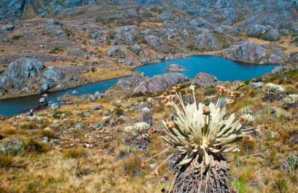 Azul Vital, desafíos para la preservación del agua - Especiales Vanguardia