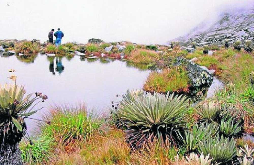 Azul Vital, desafíos para la preservación del agua - Especiales Vanguardia